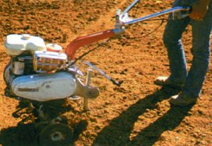 Sunshine Growers Nursery Sod - Sunshine Growers Nursery