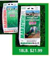 Sunshine Growers Nursery Sod - Sunshine Growers Nursery